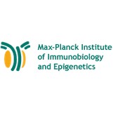 Doctoral Positions | IMPRS Immunobiology & Epigenetics