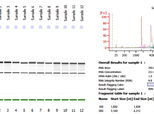 SYBR Green qPCR with Standard Curve Protocol