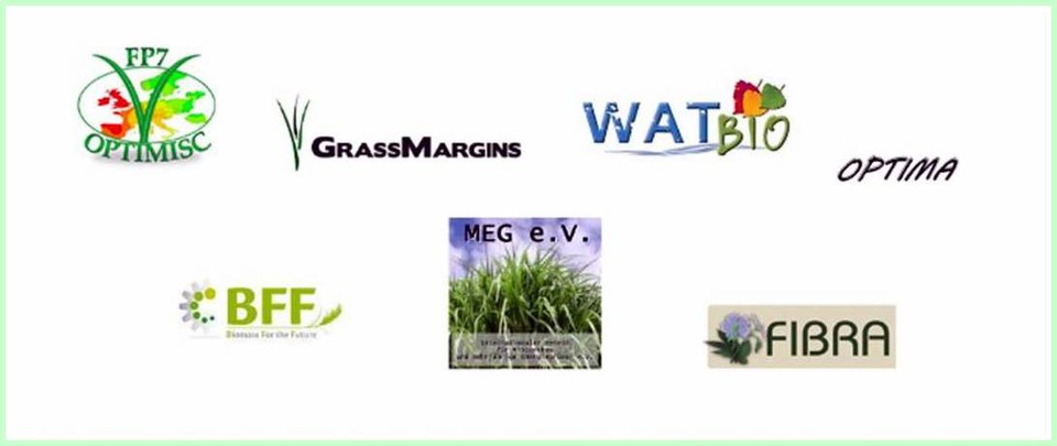 Perennial Biomass Crops for a Resource Constrained World