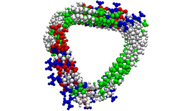 A new molecular design approach