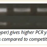 Fast Direct PCR from Mouse Tail Samples