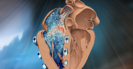 Life Science Network - A Platform for Life Sciences