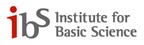 2025 Call for Applications: IBS Directors and Chief Investigators
